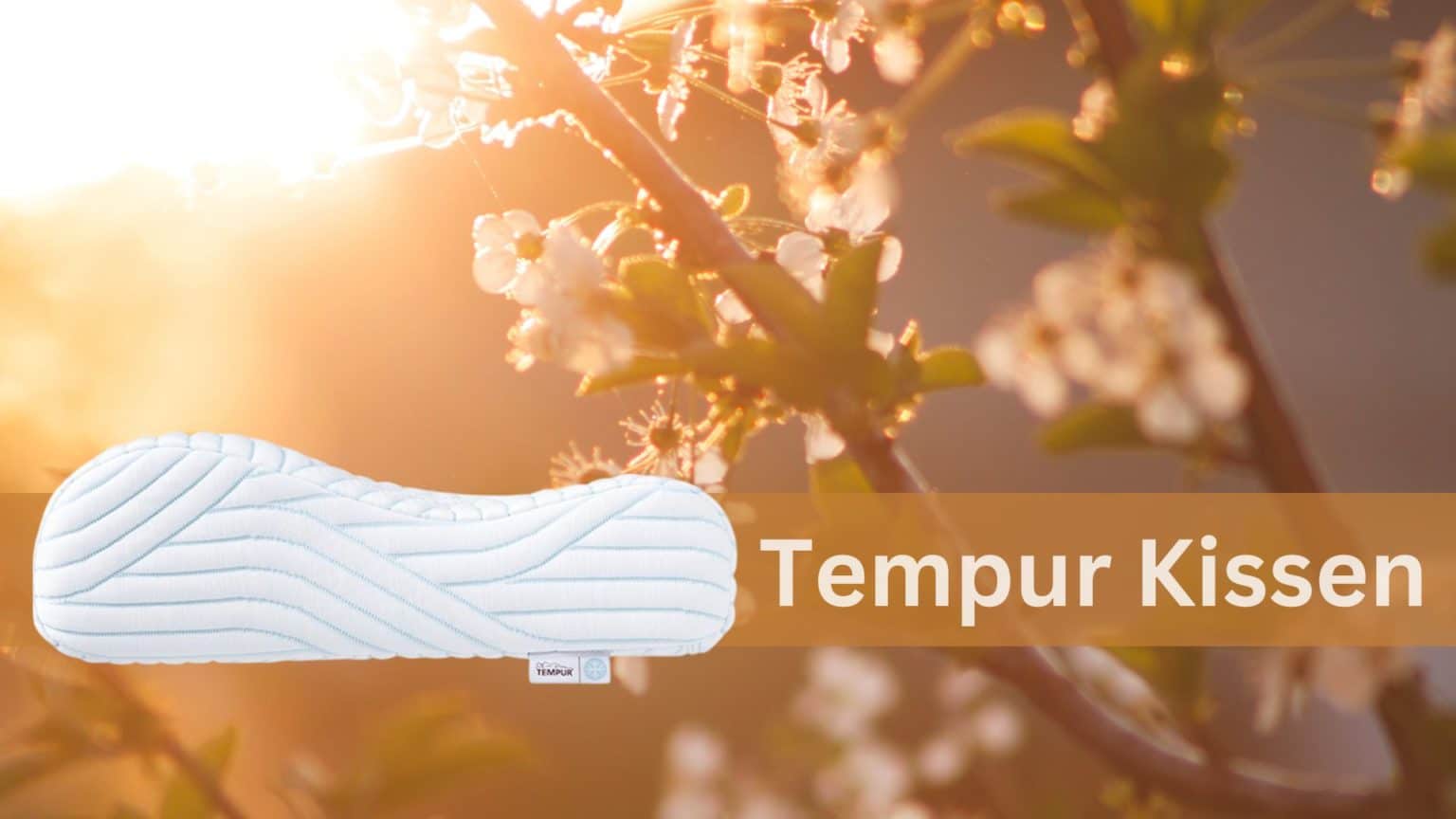 Tempur Kissen ️ » Test & Erfahrungen » (2024)